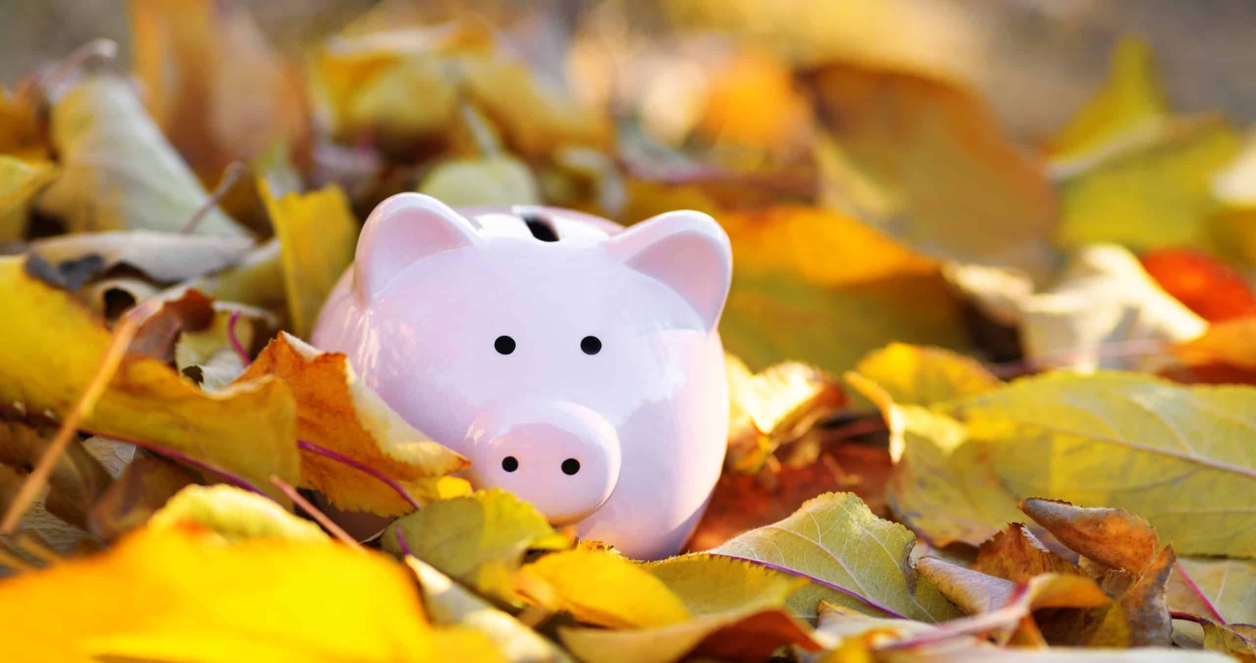 The UK's October Budget Briefing - Vested UK